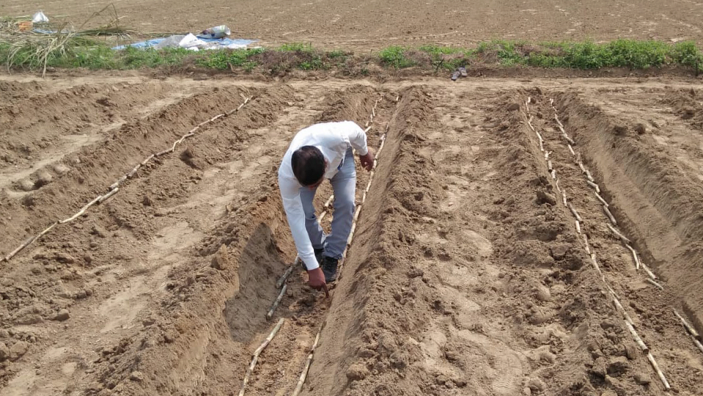 Farmer’s Initiatives - Dalmia Bharat Sugar